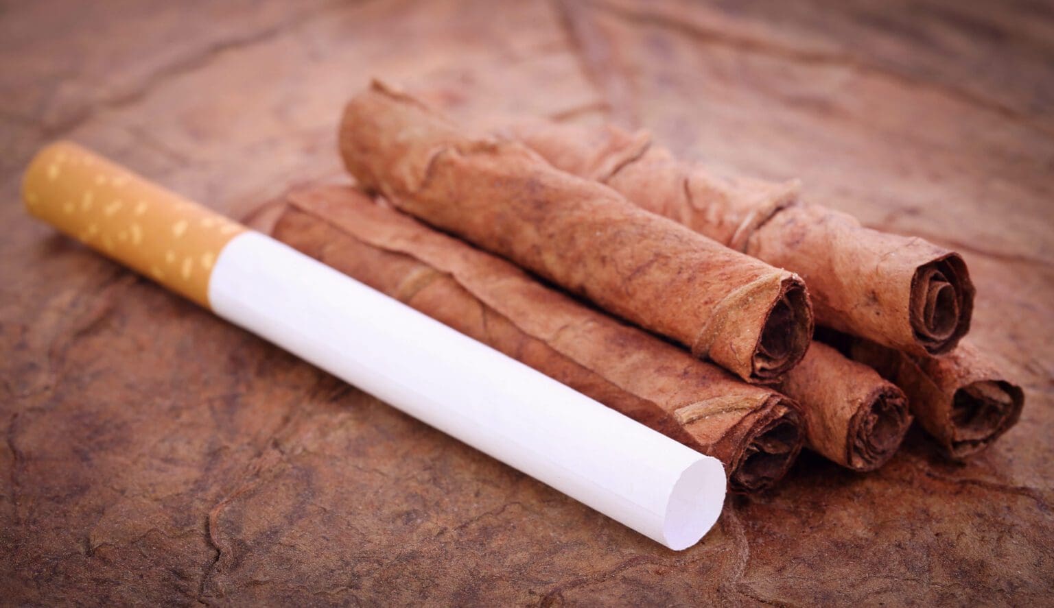 Site is undergoing maintenance